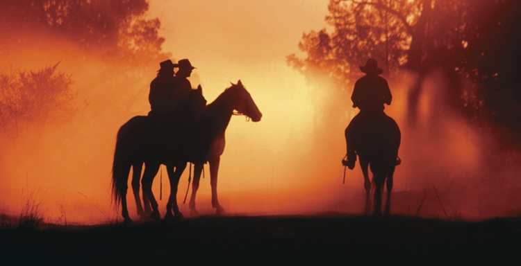 The 10 Best Horse Films | Affinity Equine Insurance