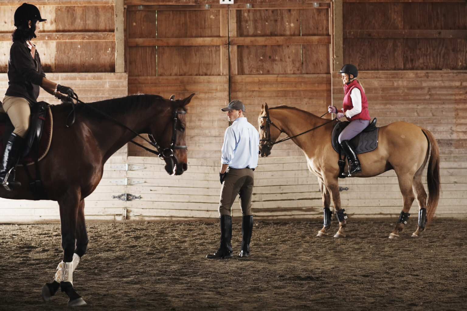 Wholesale | Affinity Equine Insurance